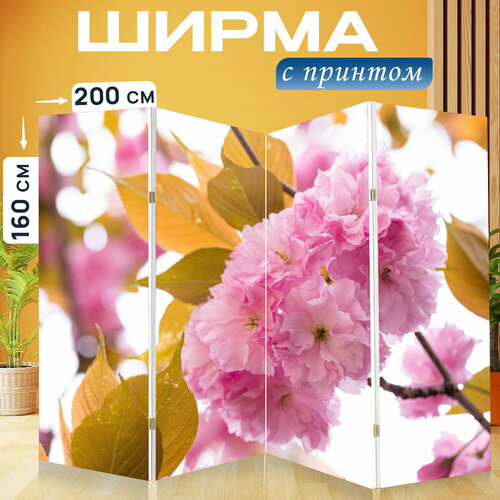 Ширма перегородка с принтом "Цветение вишни, розовые цветы, цветы" на холсте - 200x160 см. для зонирования, раскладная