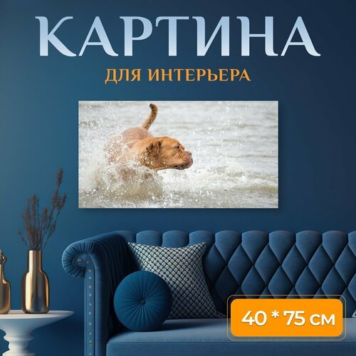 Картина на холсте "Фотография собак, собака, вода" на подрамнике 75х40 см. для интерьера
