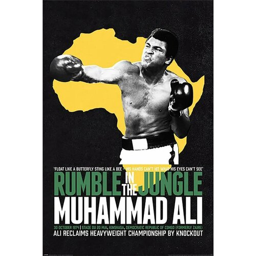 Плакат, постер Мухаммед Али боксёр. Muhammad Ali на бумаге, размер 60х84см