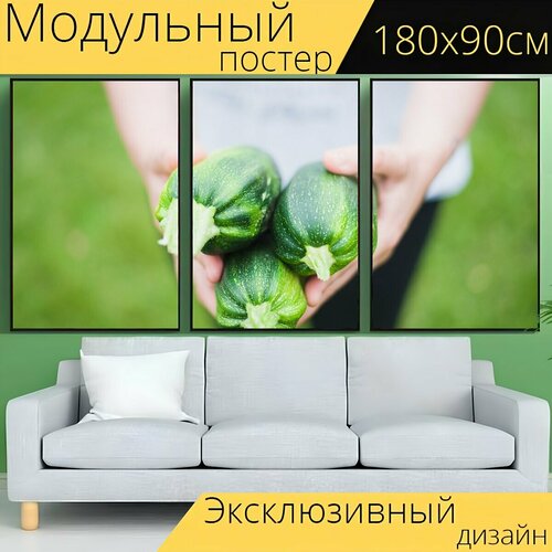 Модульный постер "Цукини, овощи, зеленый" 180 x 90 см. для интерьера