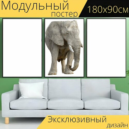 Модульный постер "Слон, животное, африка" 180 x 90 см. для интерьера