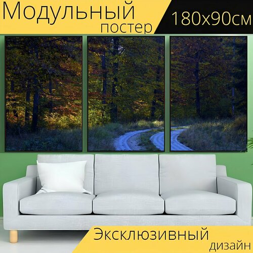 Модульный постер "Путь, осень, лес" 180 x 90 см. для интерьера