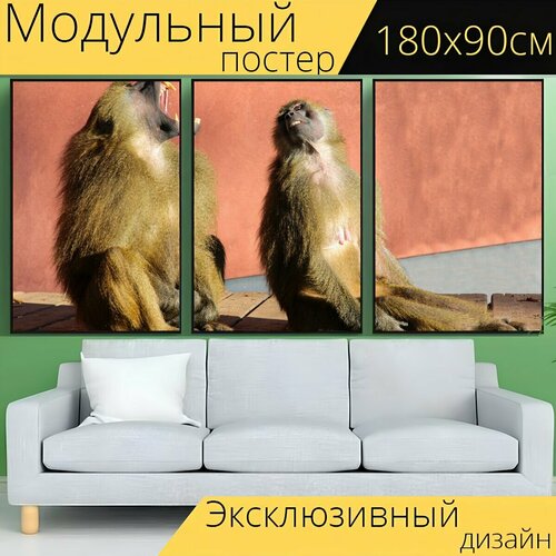Модульный постер "Дикая природа, обезьяна, бабуин" 180 x 90 см. для интерьера