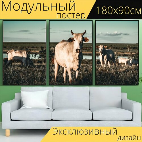 Модульный постер "Коровы, животные, пастбище" 180 x 90 см. для интерьера