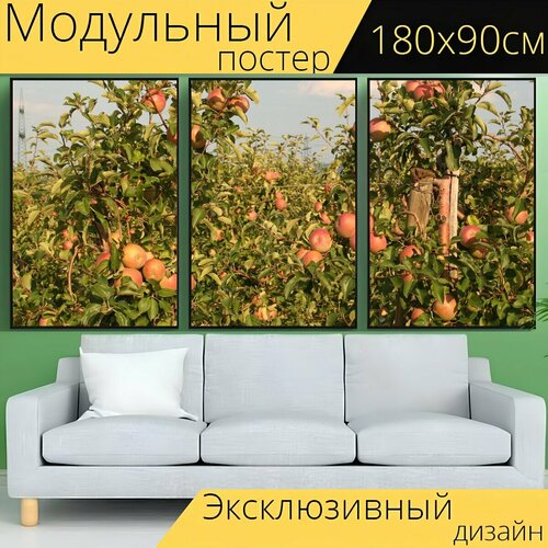 Модульный постер "Яблоко, яблочные плантации, природа" 180 x 90 см. для интерьера