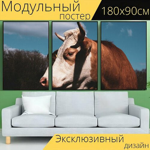 Модульный постер "Корова, бык, бычий" 180 x 90 см. для интерьера