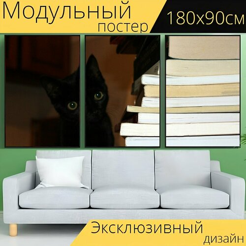 Модульный постер "Кошка, книги, чернить" 180 x 90 см. для интерьера