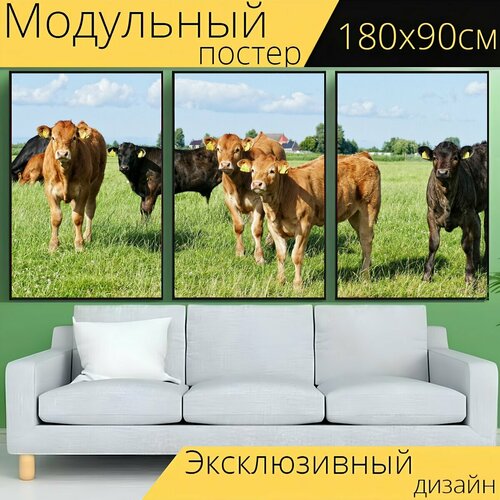 Модульный постер "Корова, коровы, крупный рогатый скот" 180 x 90 см. для интерьера