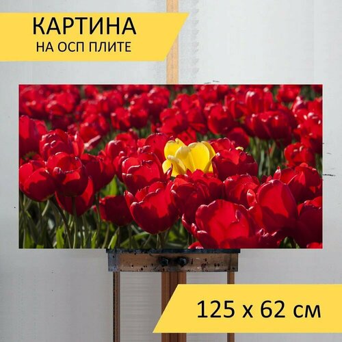 Картина на ОСП 125х62 см. "Тюльпан, тюльпаны, красный" горизонтальная, для интерьера, с креплениями