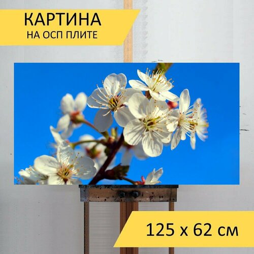 Картина на ОСП 125х62 см. "Природа, растения, цветы" горизонтальная, для интерьера, с креплениями