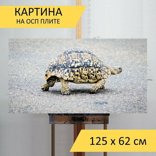 Картина на ОСП 125х62 см. "Рептилия, черепаха, природа" горизонтальная, для интерьера, с креплениями