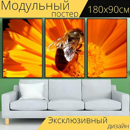 Модульный постер "Насекомое, пчела, мед" 180 x 90 см. для интерьера