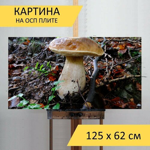 Картина на ОСП 125х62 см. "Гриб, порцино, грибы" горизонтальная, для интерьера, с креплениями