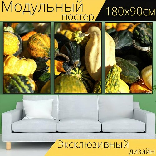 Модульный постер "Тыква, спелый, овощи" 180 x 90 см. для интерьера