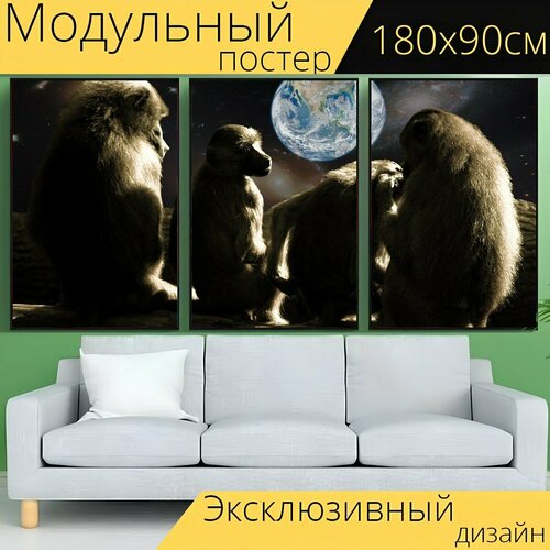 Модульный постер "Планета обезьян, обезьяны, бабуины" 180 x 90 см. для интерьера