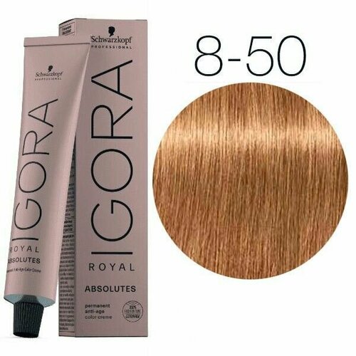 Schwarzkopf Professional Профессиональная крем краска для волос IGORA ROYAL ABSOLUTE 8-50 Светло русый золотистый натуральный, 60 мл