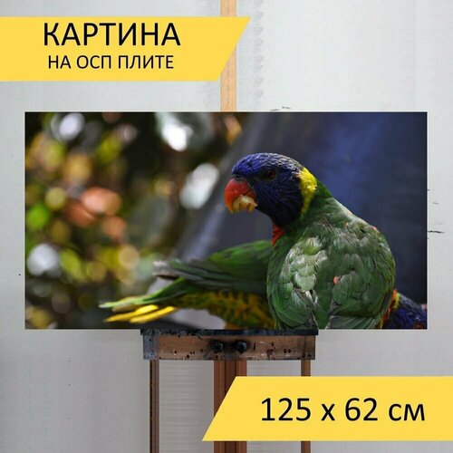 Картина на ОСП 125х62 см. "Лориини, попугай, птица" горизонтальная, для интерьера, с креплениями