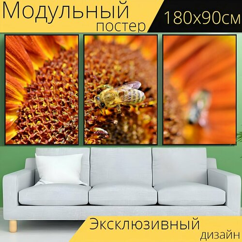 Модульный постер "Подсолнух, пчела, насекомое" 180 x 90 см. для интерьера