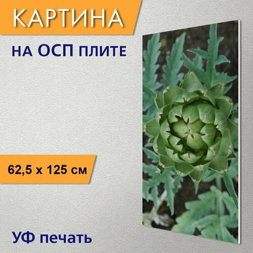 Вертикальная картина на ОСП "Артишок, сад, овощ" 62x125 см. для интерьериа