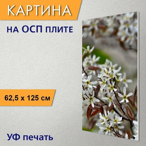 Вертикальная картина на ОСП "Цветы, расцветает, весна" 62x125 см. для интерьериа