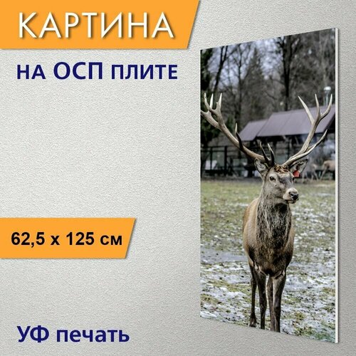 Вертикальная картина на ОСП "Харт, рога" 62x125 см. для интерьериа