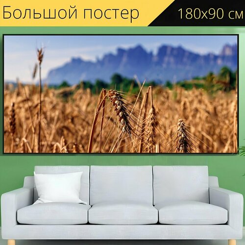 Большой постер "Природа, пшеница, сельское хозяйство" 180 x 90 см. для интерьера
