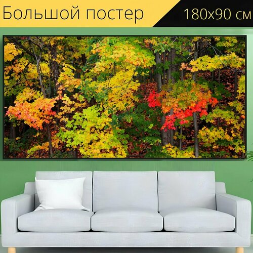 Большой постер "Вид, осень, деревья" 180 x 90 см. для интерьера
