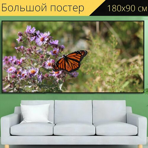 Большой постер "Монарх, бабочка, цветок" 180 x 90 см. для интерьера