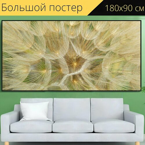 Большой постер "Одуванчик, архитектура растений, семена" 180 x 90 см. для интерьера