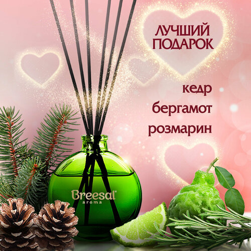 Breesal ароматический диффузор Aromatherapy Жизненная энергия, 70 мл, , 