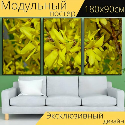 Модульный постер "Форзиция, цветы, желтый" 180 x 90 см. для интерьера
