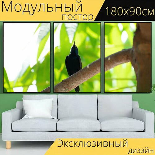 Модульный постер "Солнечная птица, птица, сидя" 180 x 90 см. для интерьера