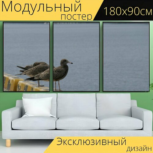 Модульный постер "Птица, порт, море" 180 x 90 см. для интерьера