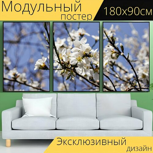 Модульный постер "Весна, цветы, природа" 180 x 90 см. для интерьера