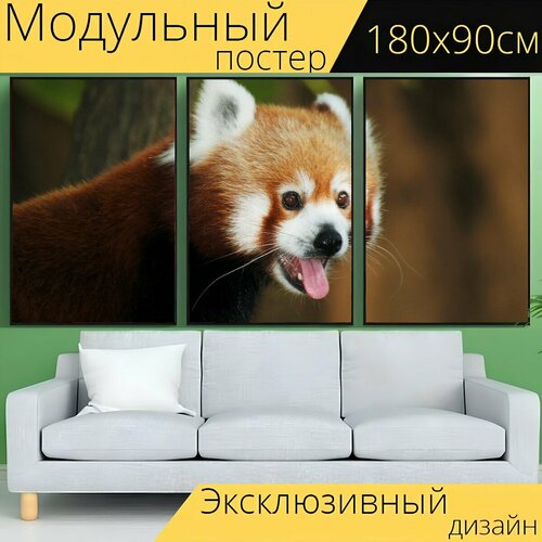 Модульный постер "Красная панда, животное, милый" 180 x 90 см. для интерьера