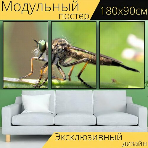 Модульный постер "Природные, существа, насекомое" 180 x 90 см. для интерьера