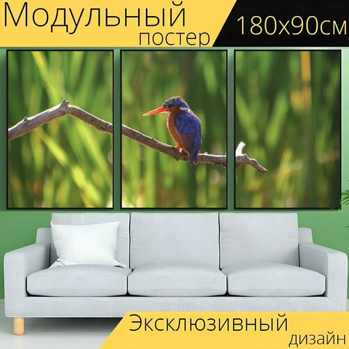 Модульный постер "Зимородок, малахит, птица" 180 x 90 см. для интерьера