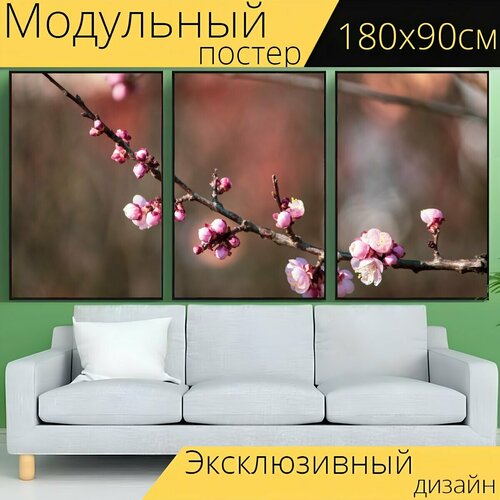 Модульный постер "Весна, дерево, персик" 180 x 90 см. для интерьера