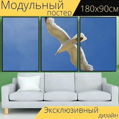 Модульный постер "Чайка, птица, летать" 180 x 90 см. для интерьера