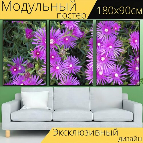 Модульный постер "Цветы, фиолетовый, цветок" 180 x 90 см. для интерьера