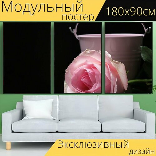 Модульный постер "Роза, благородная роза, ведро" 180 x 90 см. для интерьера