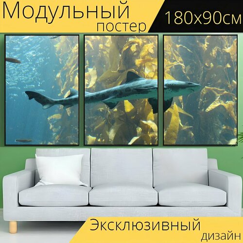 Модульный постер "Рыбы, аквариум, подводный" 180 x 90 см. для интерьера