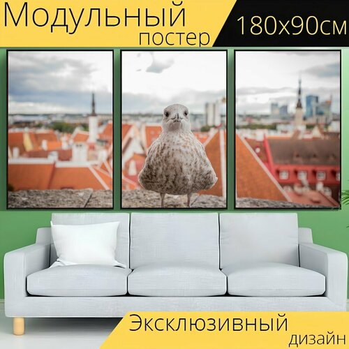 Модульный постер "Чайка, птица, эстония" 180 x 90 см. для интерьера