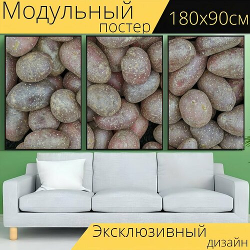 Модульный постер "Картошка, уборка урожая, еда" 180 x 90 см. для интерьера