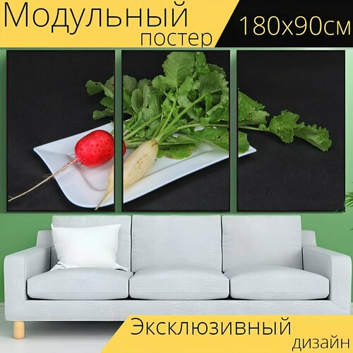 Модульный постер "Редис, уборка урожая, овощи" 180 x 90 см. для интерьера