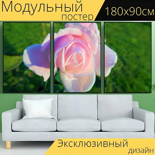 Модульный постер "Роуз, природа, розовый" 180 x 90 см. для интерьера