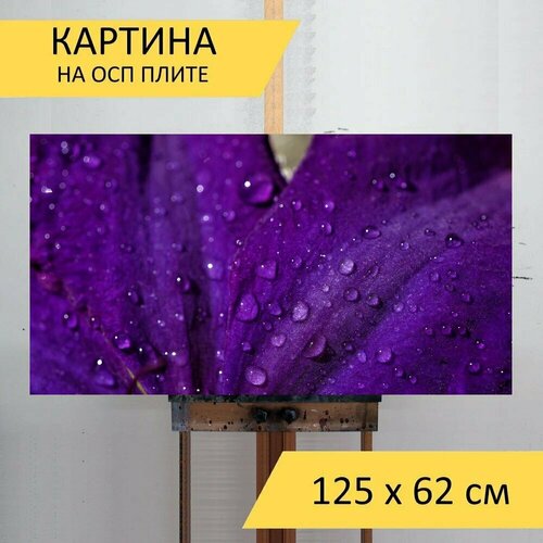 Картина на ОСП 125х62 см. "Клематис, фиолетовый, блеск" горизонтальная, для интерьера, с креплениями