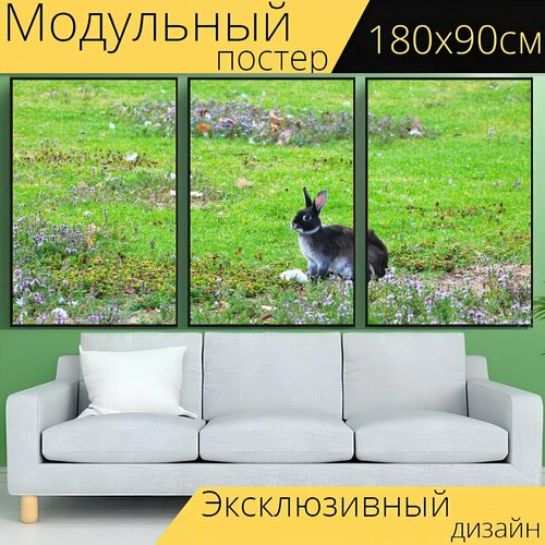 Модульный постер "Кролик, заяц, милый" 180 x 90 см. для интерьера