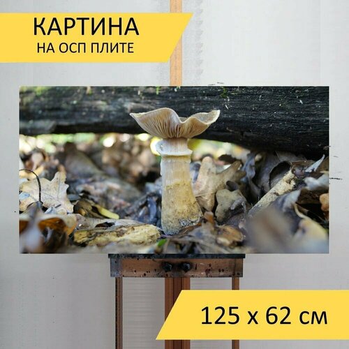 Картина на ОСП 125х62 см. "Хаба, лес, лесной гриб" горизонтальная, для интерьера, с креплениями