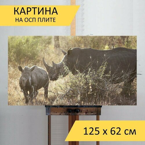 Картина на ОСП 125х62 см. "Носороги, носорог, африка" горизонтальная, для интерьера, с креплениями